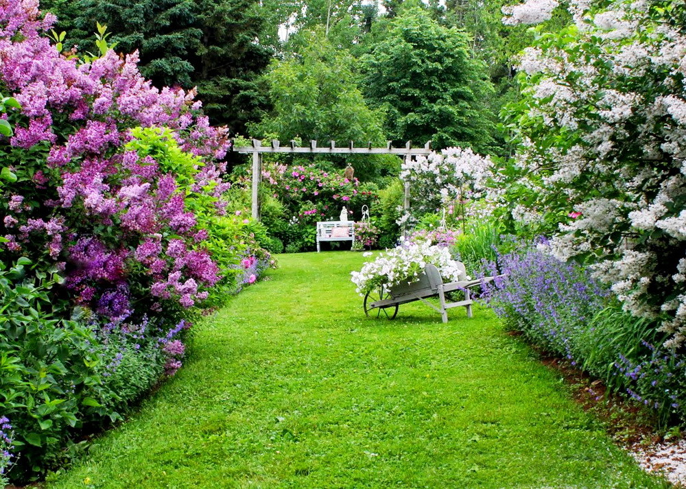 Cozy-spring mood in the garden - amazing ideas | My desired home