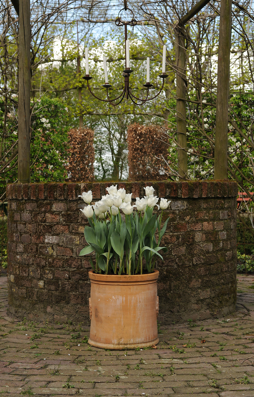 Amazing gardening inspiration with tulips in pots, containers and ...