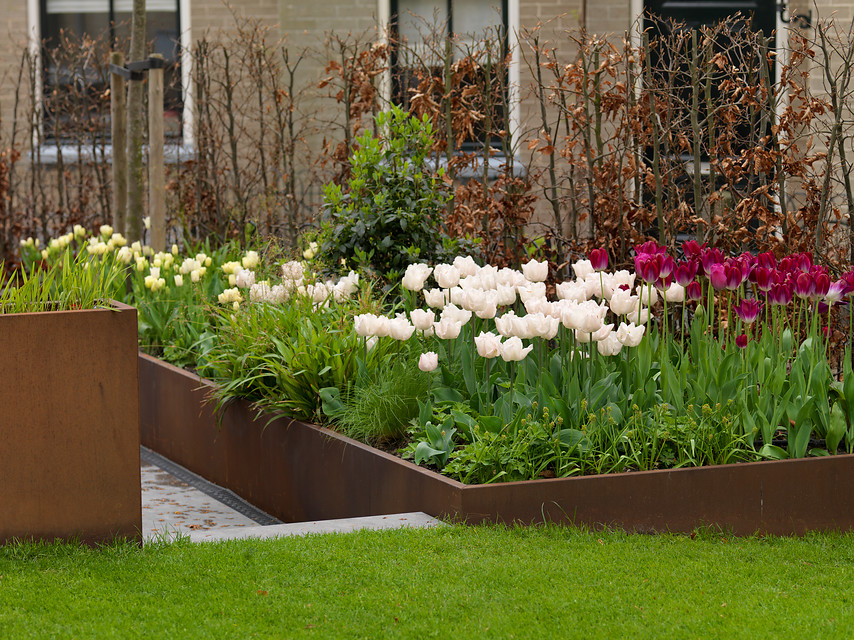 Amazing gardening inspiration with tulips in pots, containers and ...