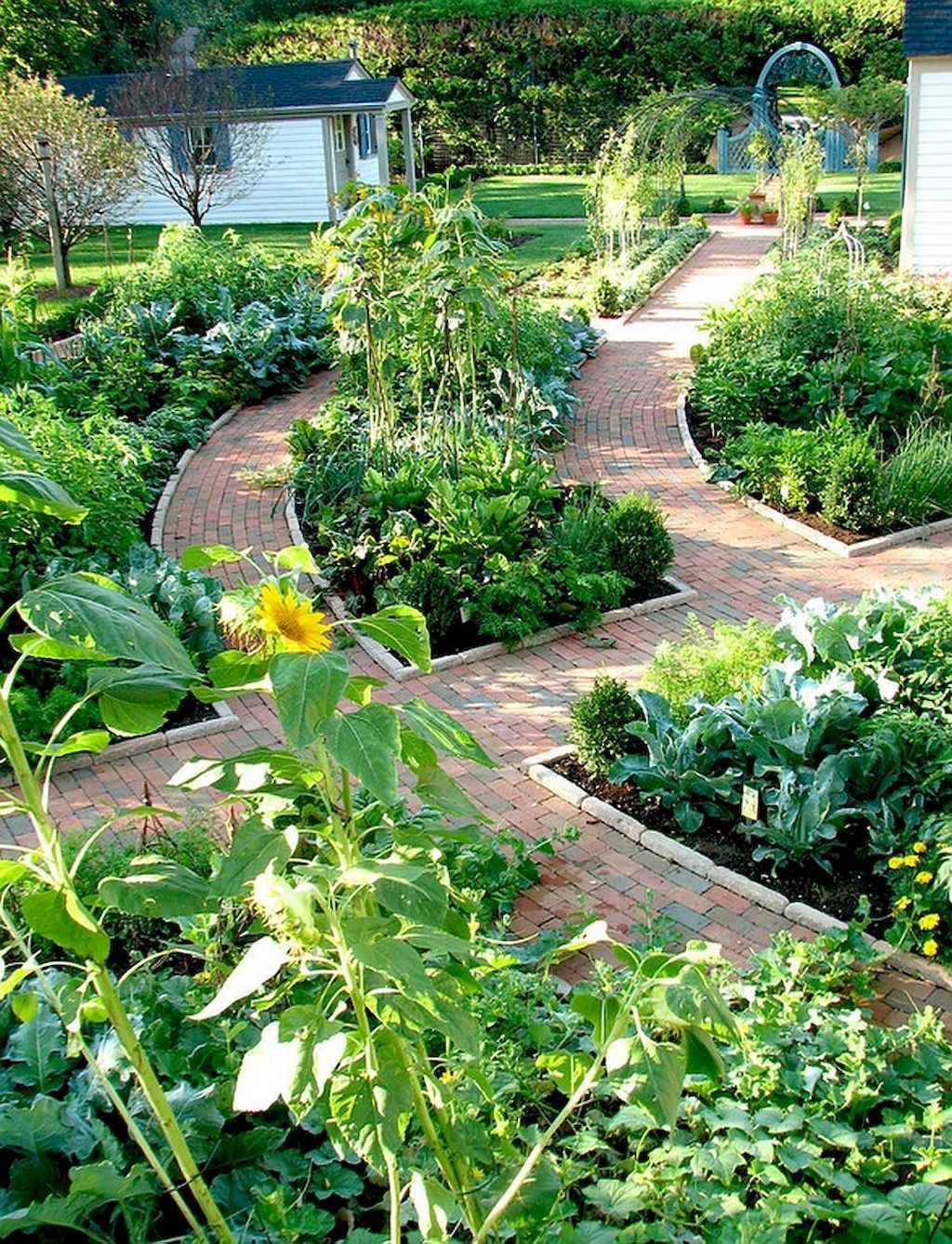 45 Affordable DIY Design Ideas for a Vegetable Garden | My desired home
