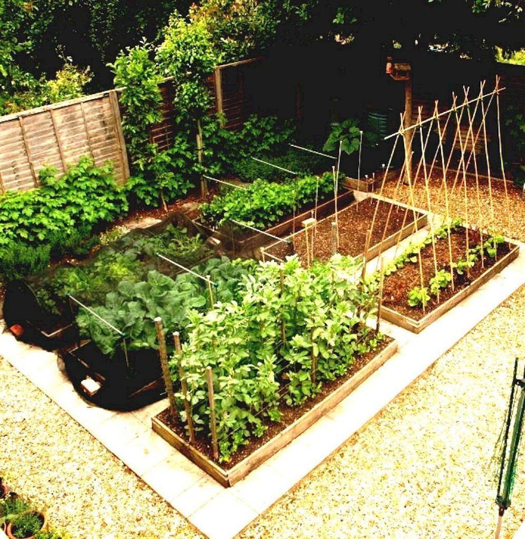 45 Affordable DIY Design Ideas for a Vegetable Garden | My desired home