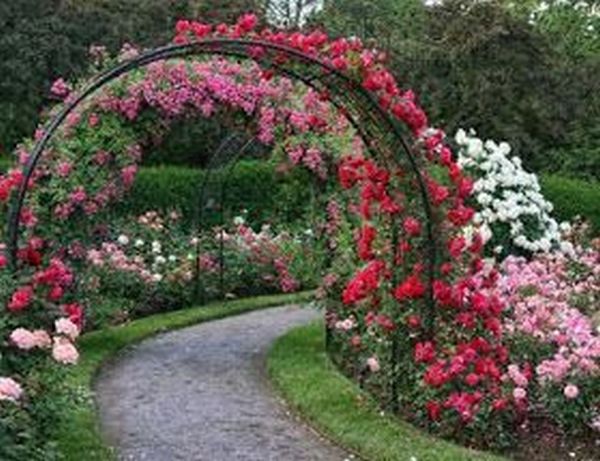 Amazing DIY arches design - 23 ways to highlight your garden | My ...