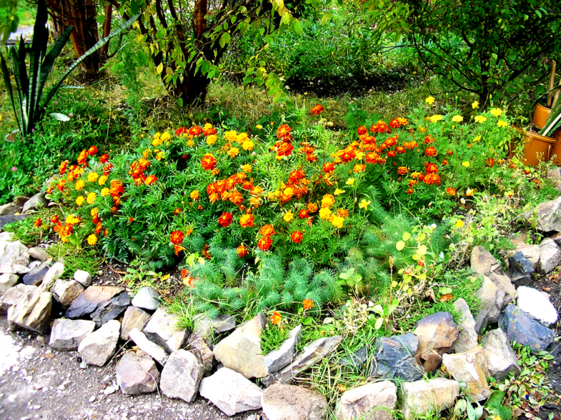 50 DIY Stone flower beds and rock gardens that will boost your garden ...