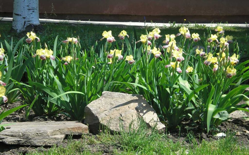 50 DIY Stone flower beds and rock gardens that will boost your garden ...