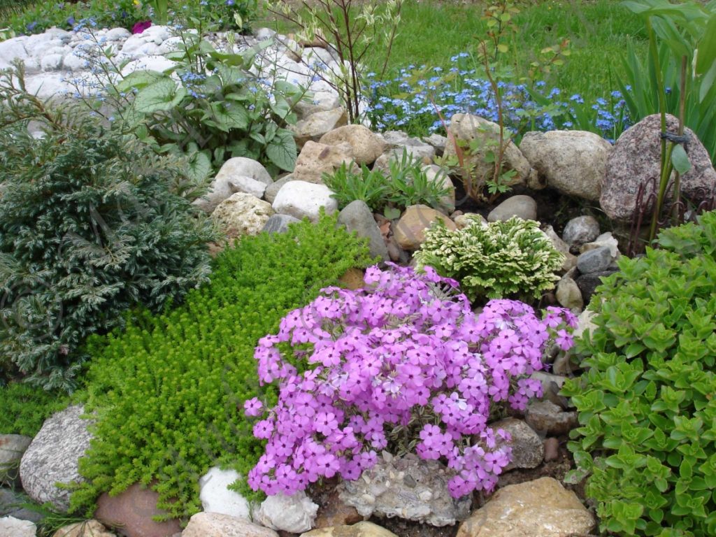 50 DIY Stone flower beds and rock gardens that will boost your garden ...
