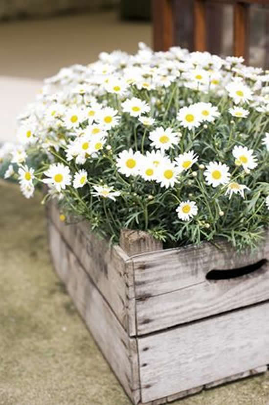 DIY garden decoration with wooden crates | My desired home