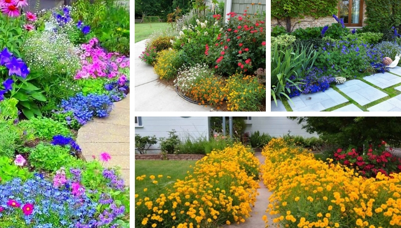 DIY garden flower Curb: 45 Ideas for a Bright Courtyard | My desired home