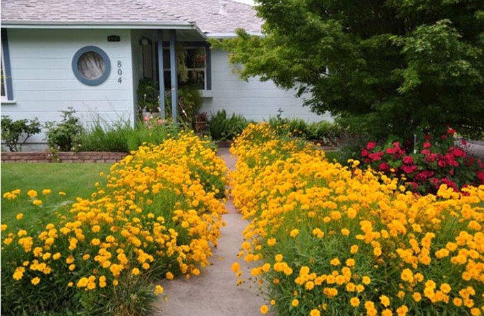 DIY garden flower Curb: 45 Ideas for a Bright Courtyard | My desired home