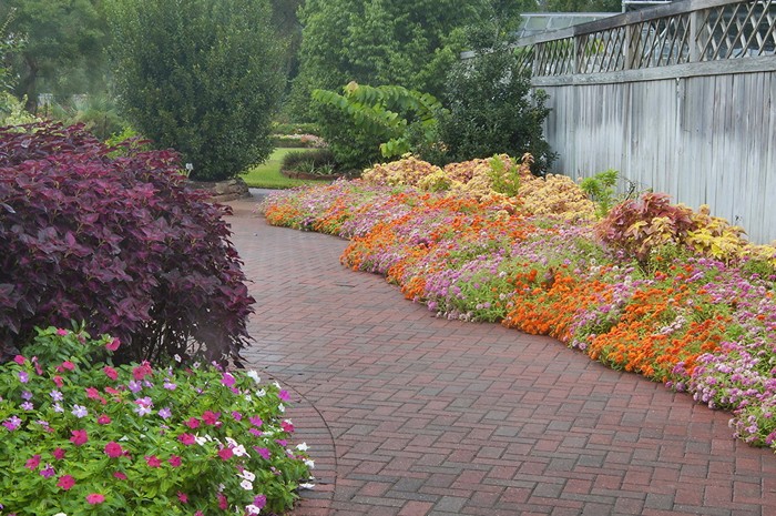 DIY garden flower Curb: 45 Ideas for a Bright Courtyard | My desired home