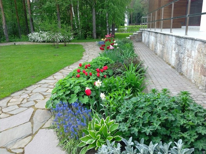 DIY garden flower Curb: 45 Ideas for a Bright Courtyard | My desired home
