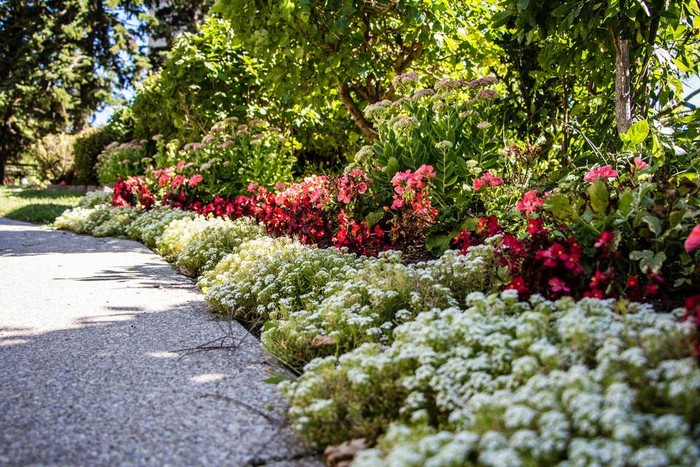 DIY garden flower Curb: 45 Ideas for a Bright Courtyard | My desired home