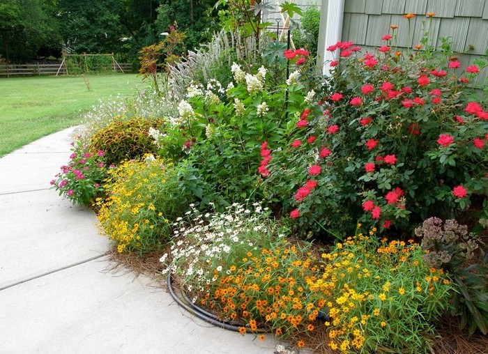 DIY garden flower Curb: 45 Ideas for a Bright Courtyard | My desired home