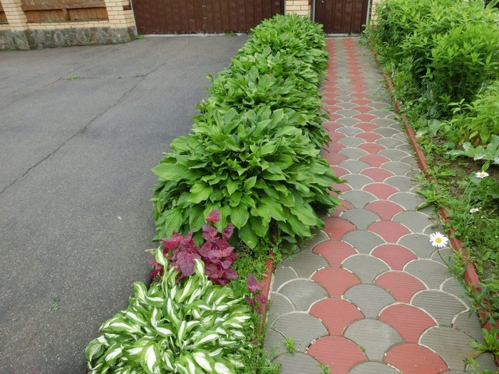 DIY garden flower Curb: 45 Ideas for a Bright Courtyard | My desired home