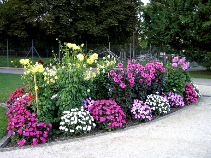 DIY garden flower Curb: 45 Ideas for a Bright Courtyard | My desired home