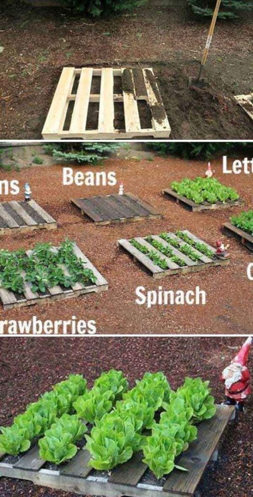 Pallets in the garden: useful DIY gardening ideas | My desired home