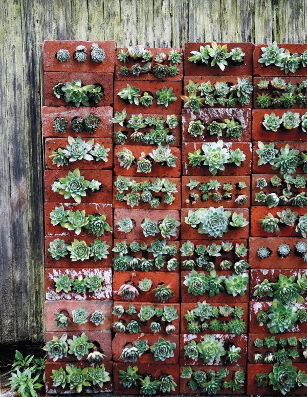 How to reuse old bricks to renovate your yard or garden | My desired home