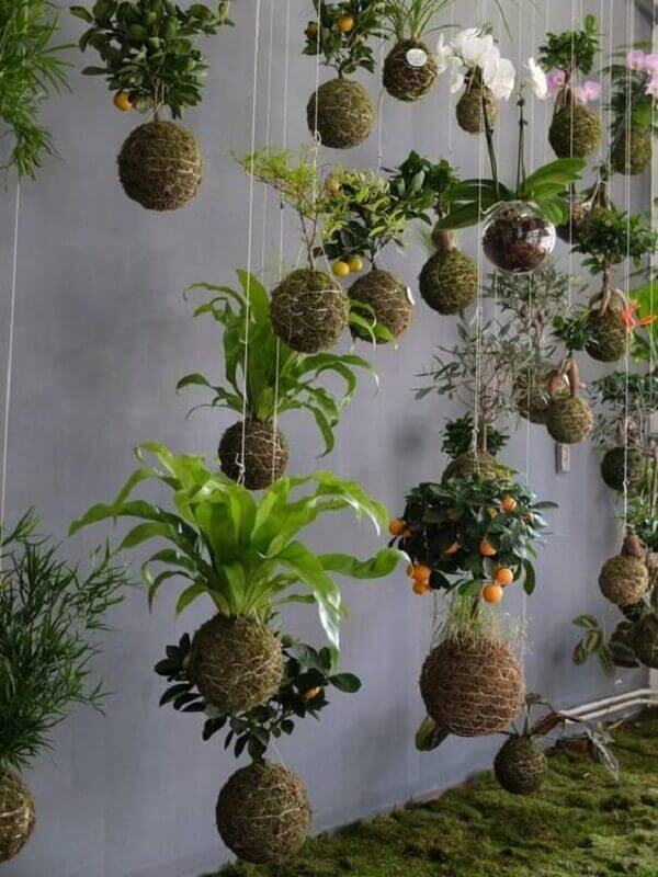 Kokedama: What it is, +32 Amazing Arrangements to get inspired | My ...
