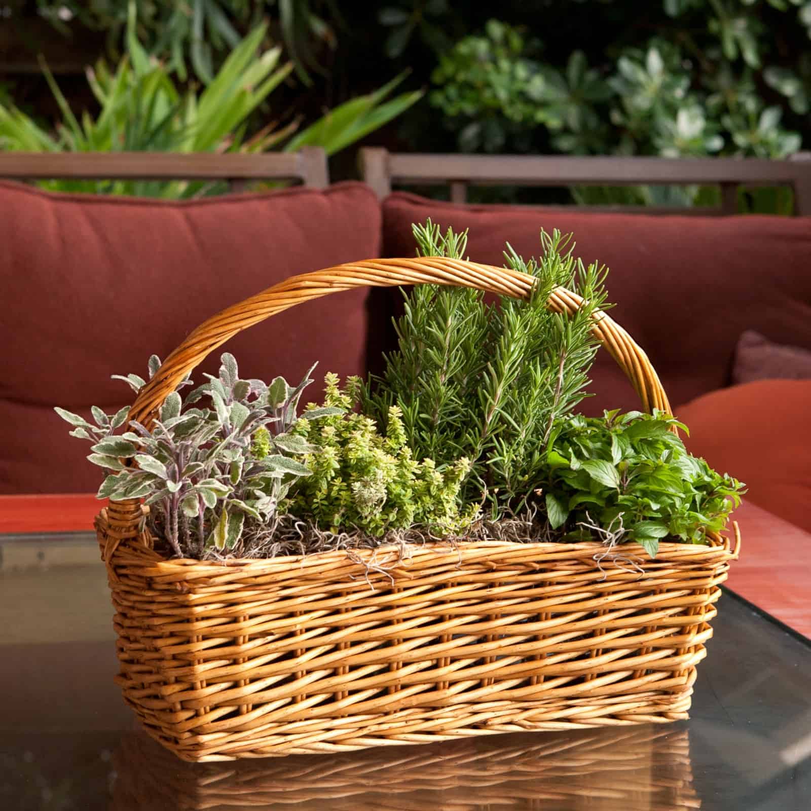 How to plant in a wicker basket? - Instructions and many inspirations ...