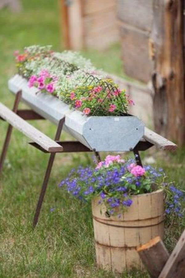 Planting flowers in the most special places - Great DIY ideas and ...