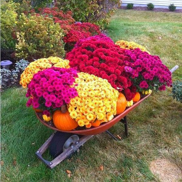 The most beautiful arrangements with spectacular autumn flowers | My ...