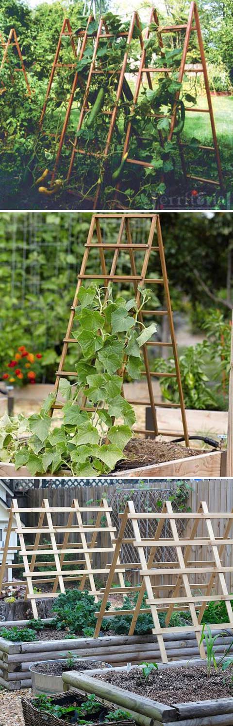 Successful DIY ways to create supports for vegetable and flower beds in ...