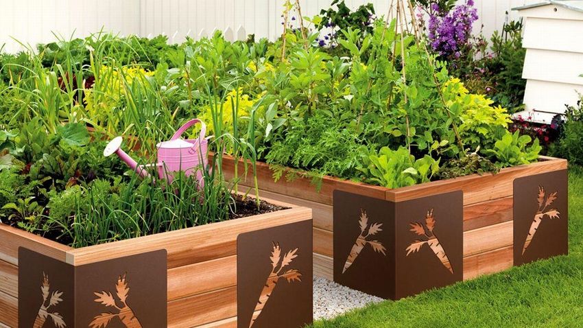 How to beautifully design your garden beds. 60 stunning ideas | My ...