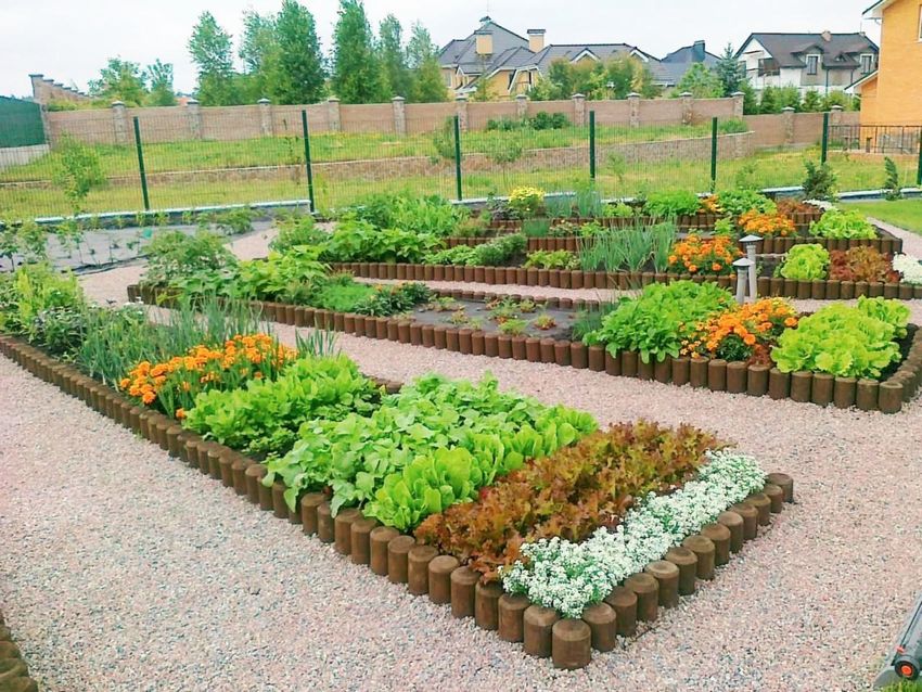 How to beautifully design your garden beds. 60 stunning ideas | My ...