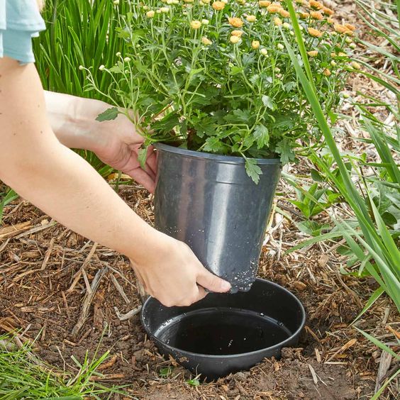 Flower beds forming with plastic pots | My desired home