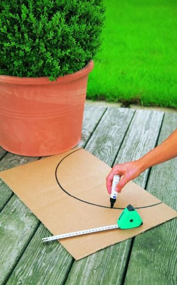 How to trim decorative shrubs by giving them special shapes - Practical ...