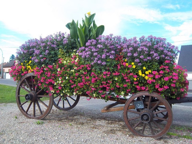 Beautiful corners of the country - 40 amazing flowers pots and beds ...