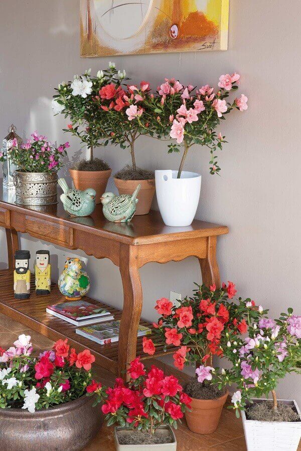 Azalea: How to care and 40 wonderful ideas for home and garden ...