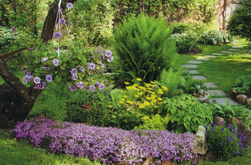 Budleya - The best ideas of an original decoration for the garden | My ...