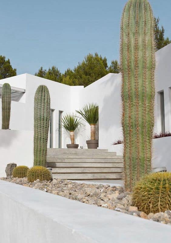 Cactus Gardens - 47 amazing ideas on how to make one | My desired home