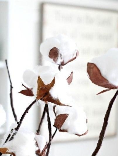 DIY blooming cotton branch | My desired home
