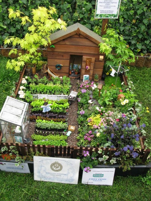 35 Top DIY ideas for miniature fairy tale gardens | My desired home
