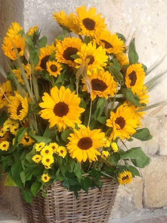 Sunflower, the flower of the sun - great ideas for your yard and garden ...