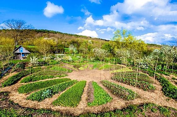 Amazing mandala garden designs for inspiration | My desired home