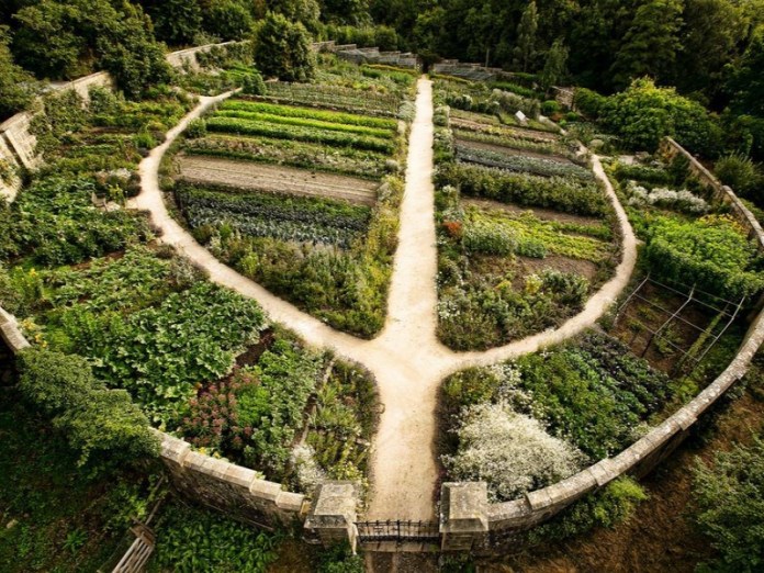 Amazing mandala garden designs for inspiration | My desired home