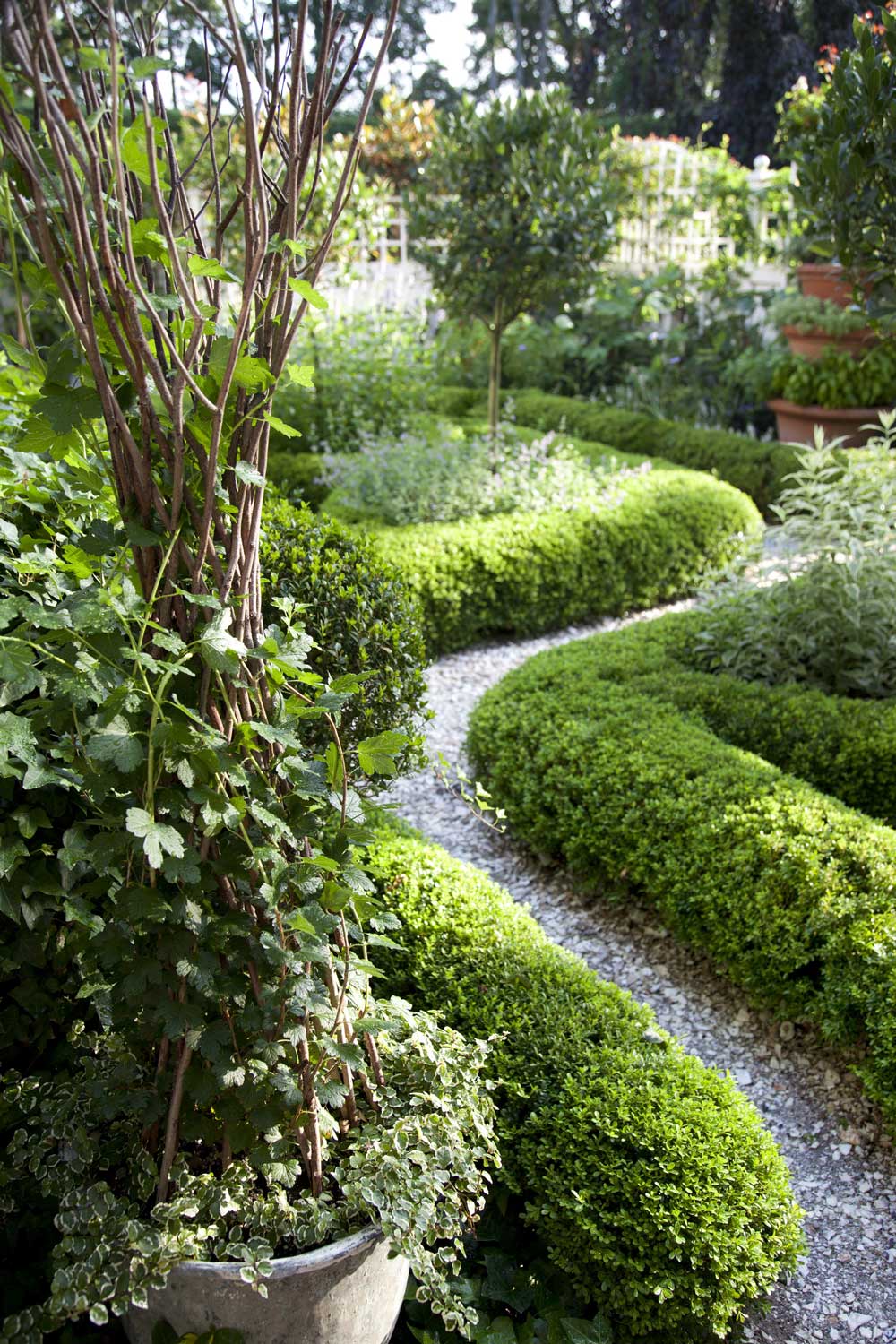 Best tips and ideas for small gardens you need to know | My desired home