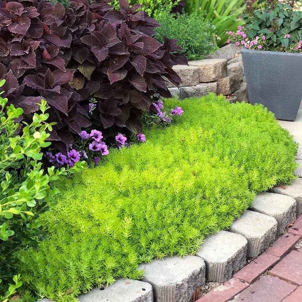 Best tips and ideas for small gardens you need to know | My desired home