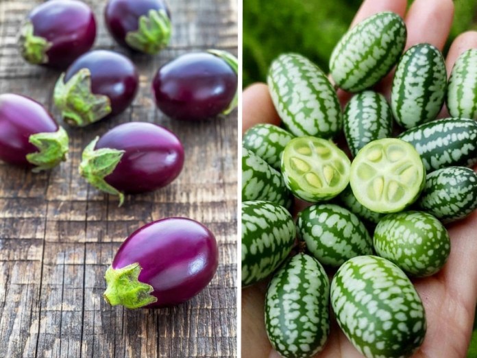 Vegetable garden: How to grow mini vegetables in your garden even in ...