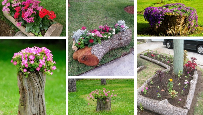 Great DIY ideas for your garden made from tree logs | My desired home