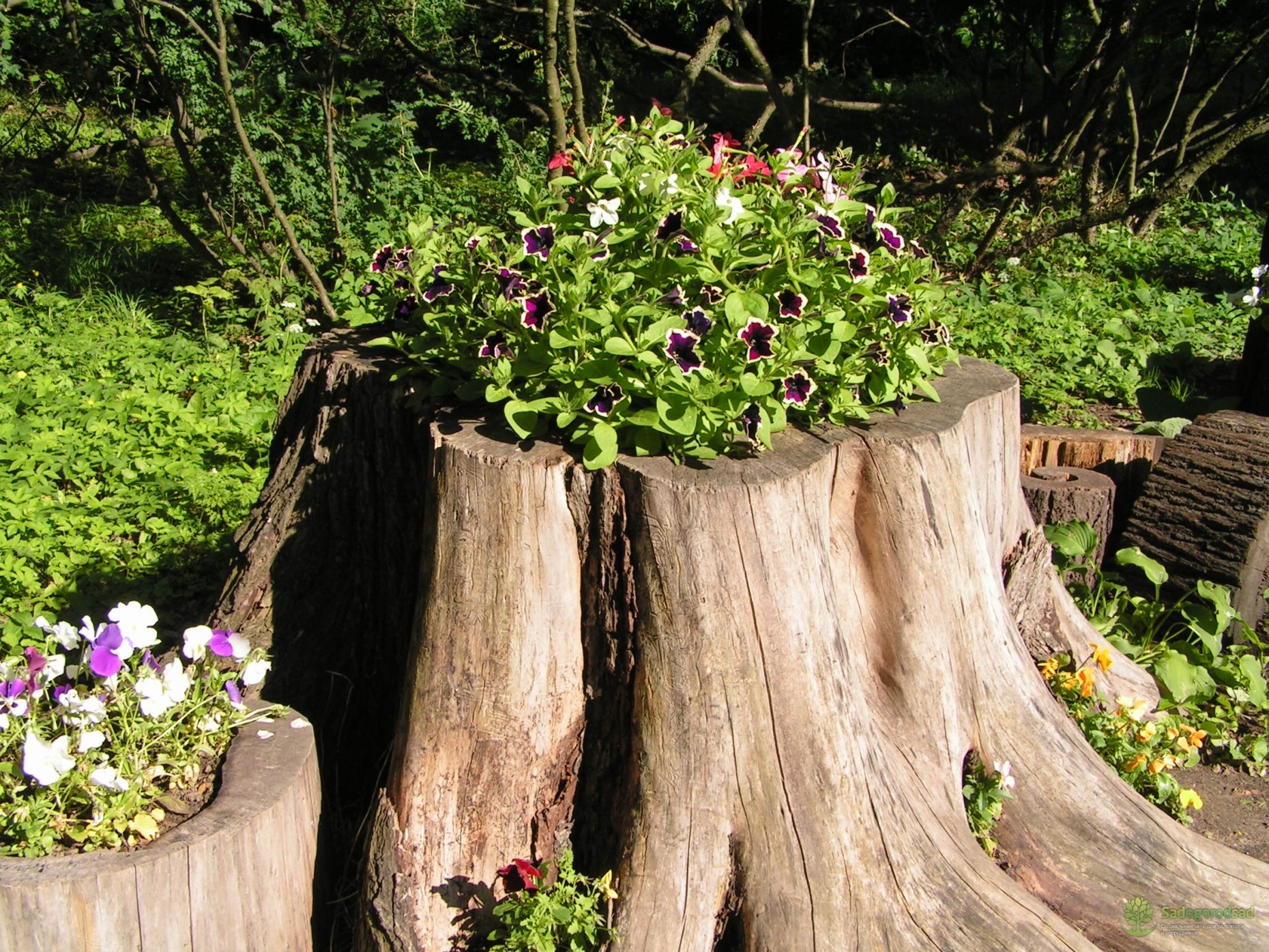 Great DIY ideas for your garden made from tree logs | My desired home