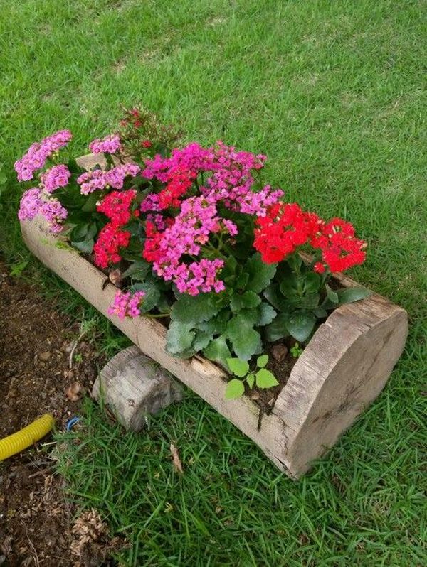 Great DIY ideas for your garden made from tree logs | My desired home