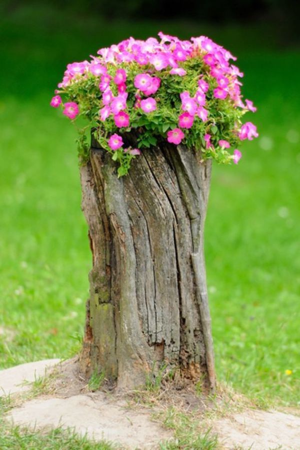 Great DIY ideas for your garden made from tree logs | My desired home