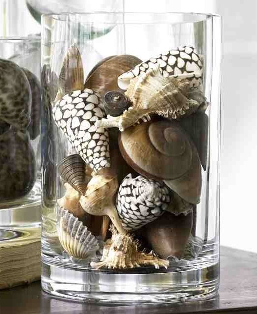 How to decorate fantastically with seashells: 35+ DIY ideas that ...