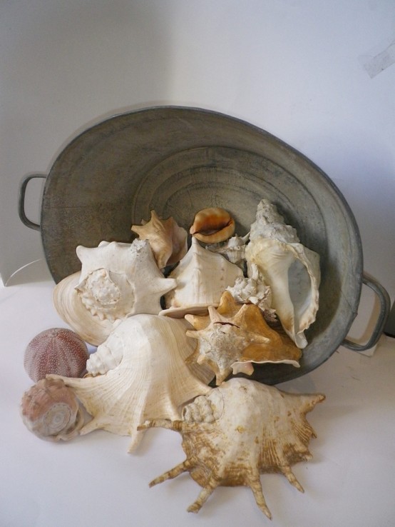 How to decorate fantastically with seashells: 35+ DIY ideas that ...