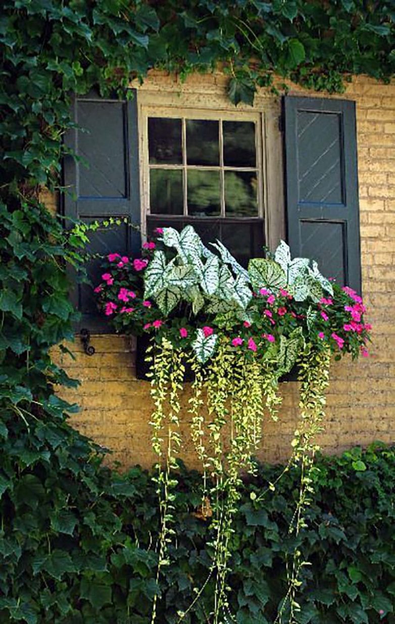 Wonderful ideas for a blooming garden outside the window | My desired home