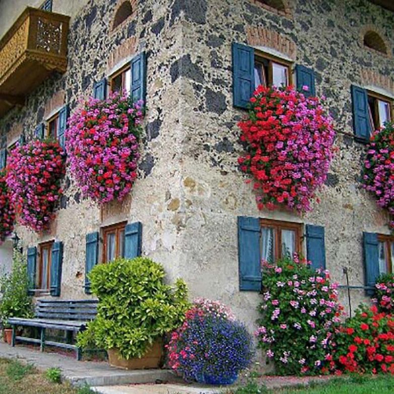 Wonderful ideas for a blooming garden outside the window | My desired home