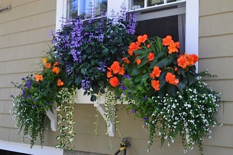 Wonderful ideas for a blooming garden outside the window | My desired home